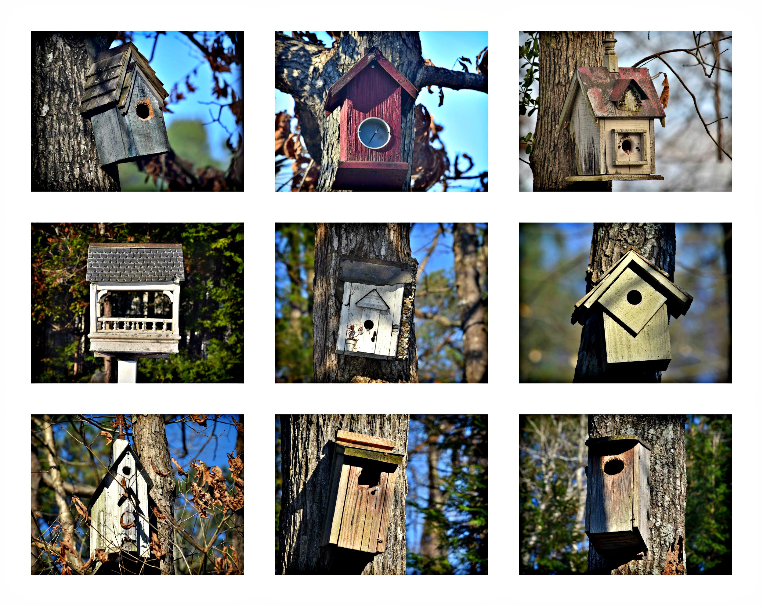 Creating a Mini Photographic Typology – Jon Davatz Photography